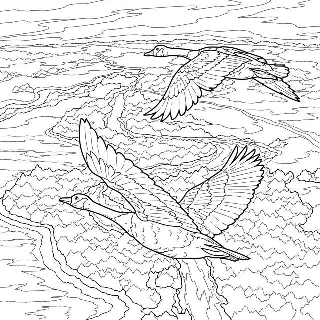 Two Geese Flying Over Autumn Scenery Coloring Page
